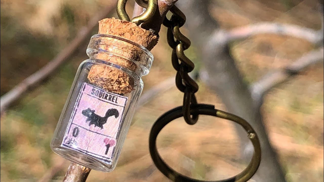 Inscription P1 | I should have used the emergency squirrel - YouTube