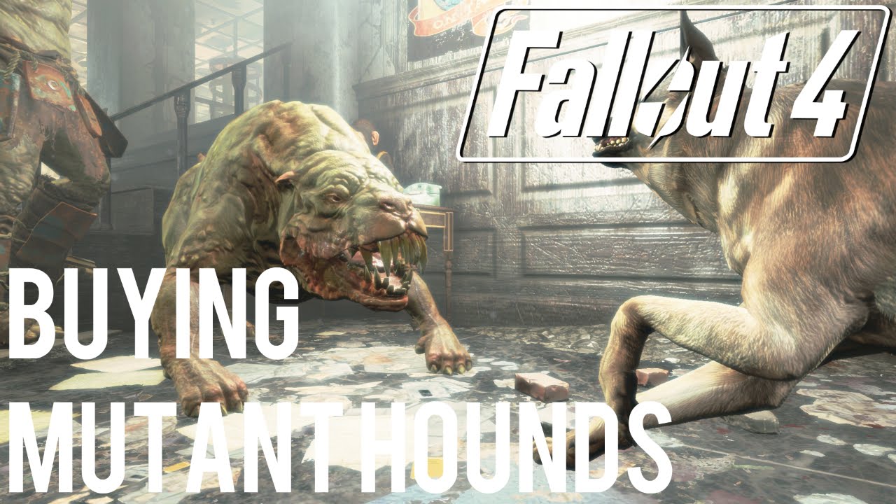 Fallout 4: Far Harbor - How to BUY Mutant Hounds! - YouTube