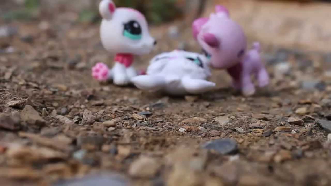 Lps Rose:Lps Lost:Part 1 - YouTube