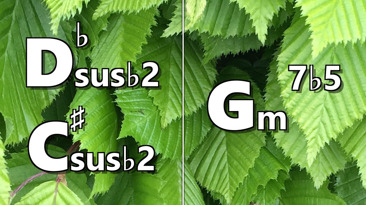 Dbsus b2 (C#sus b2) to Gm7b5 Backing Track - YouTube