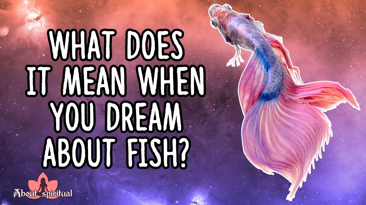 What Does It Mean When You Dream About Fish? | 🐟Dream About Fish ...