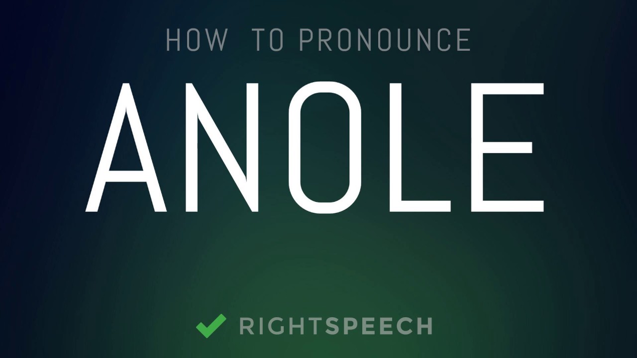 Anole - How to pronounce Anole - YouTube