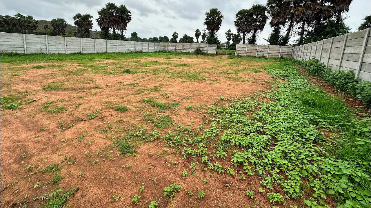 Shadnagar Most profitable plot property - YouTube