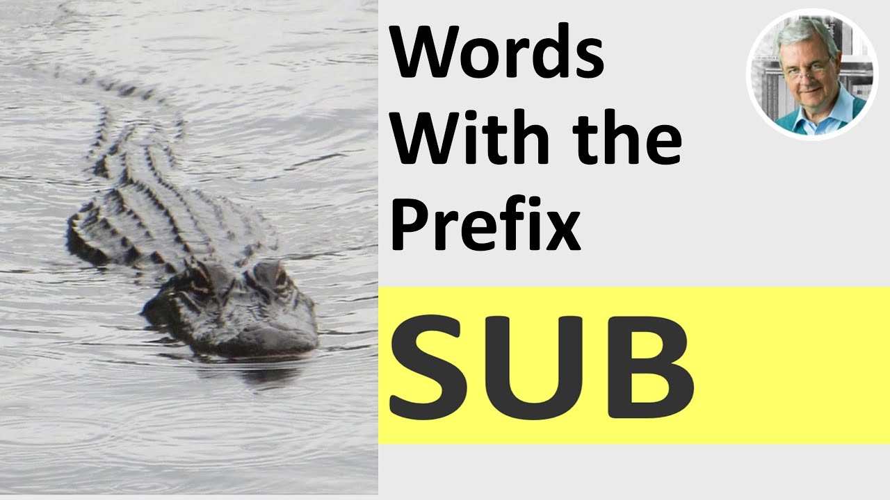 Words With The Prefix SUB 6 Illustrated Examples YouTube words-with-the-prefix-sub-6-illustrated-examples-youtube