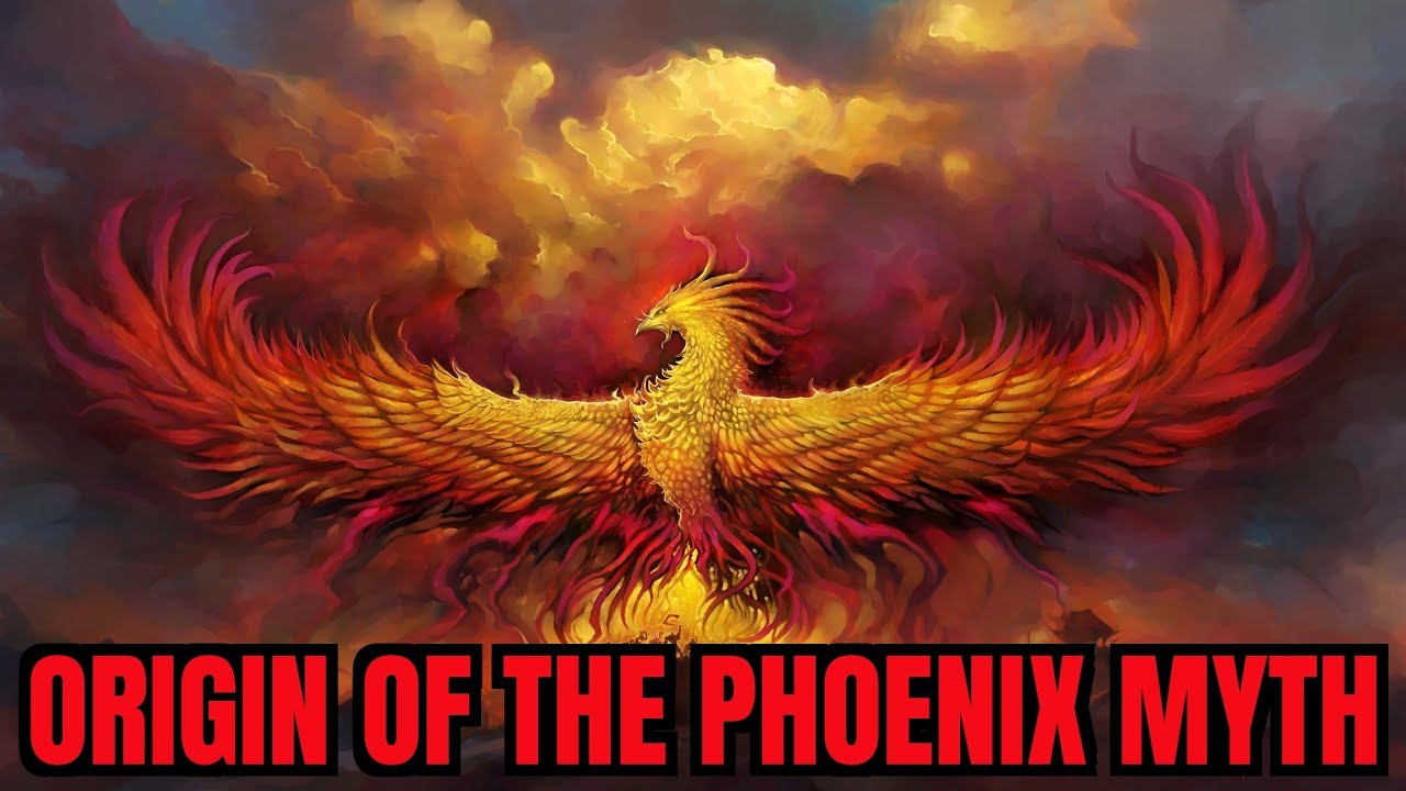 Origin Of The Phoenix Myth YouTube origin-of-the-phoenix-myth-youtube