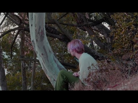 monty.pk - amethyst (lyric visualizer) - YouTube