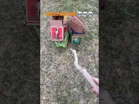 Moses ahh lore💀💀💀 - YouTube