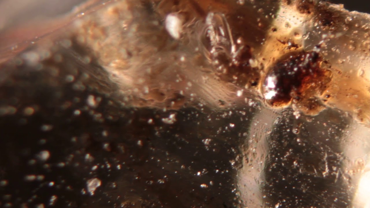 Stuff Through the Microscope: Broken Glass - YouTube