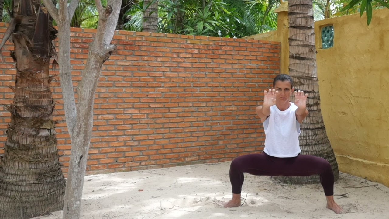 Tiger Qigong - 5 Element Qigong - YouTube