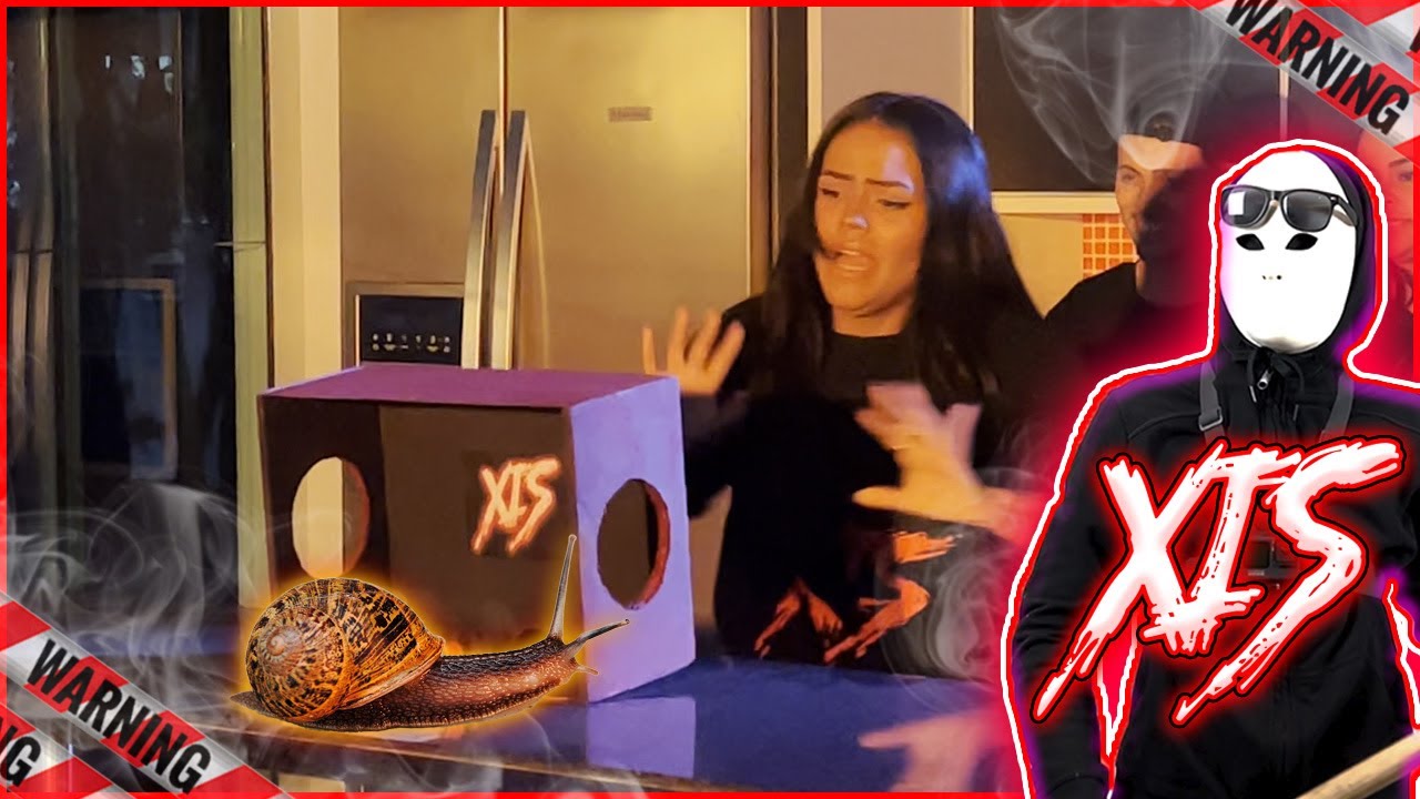 O QUE TEM NA CAIXA DO XIS !!! ( EP 23 TEMP 7 ) - YouTube