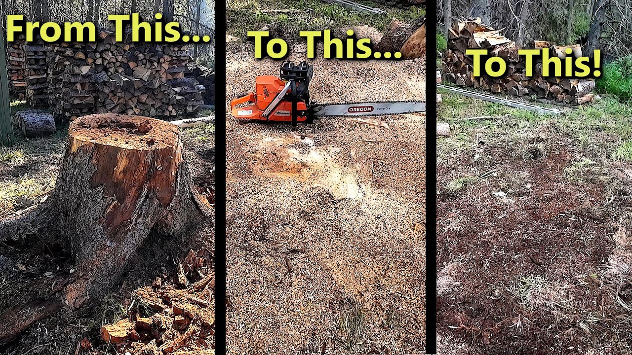 Removing Large Tree Stumps With a Chainsaw - YouTube