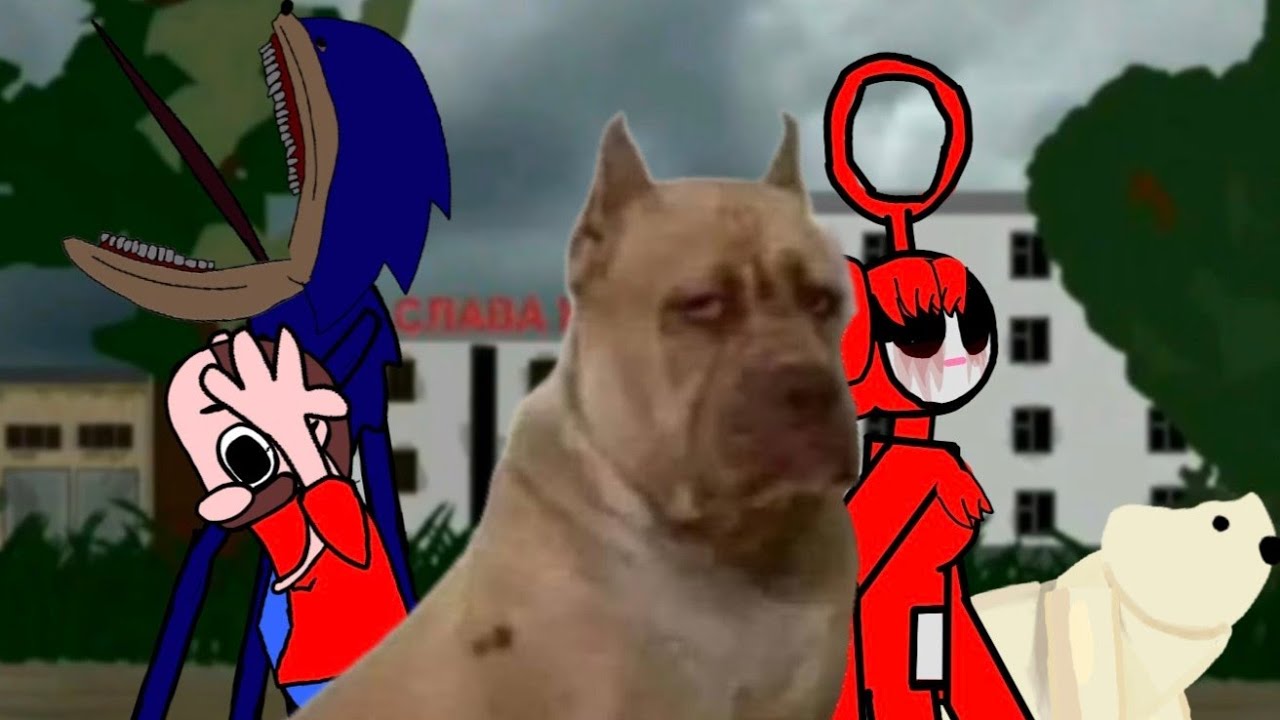 CALZOSKY VS RANDOM CHARACTERS - YouTube