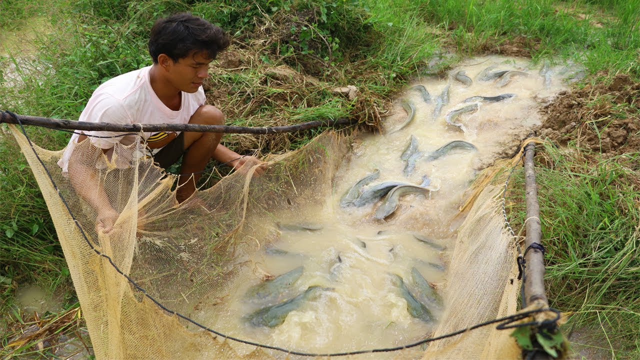 Believe This Fishing? Fish Trapping System Using Mosquito Net When ...