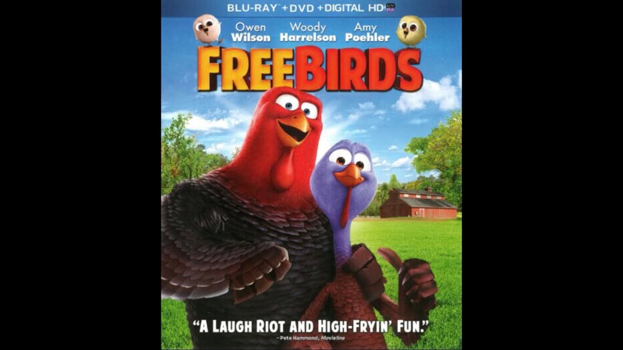 Free Birds Dvd