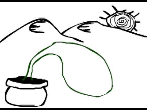 animacion serpiente ambrienta