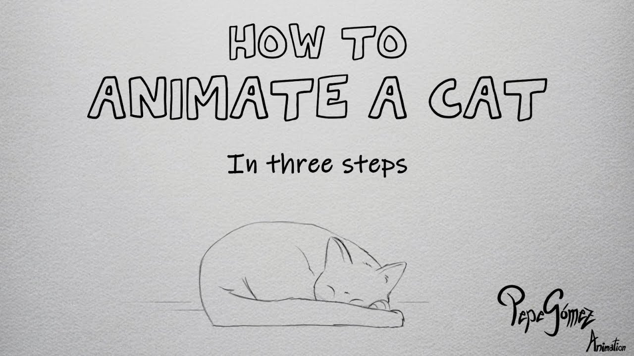 How to animate a cat - YouTube