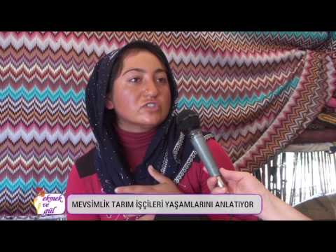 Mevsimlik tarım işçisi kadınlar anlatıyor