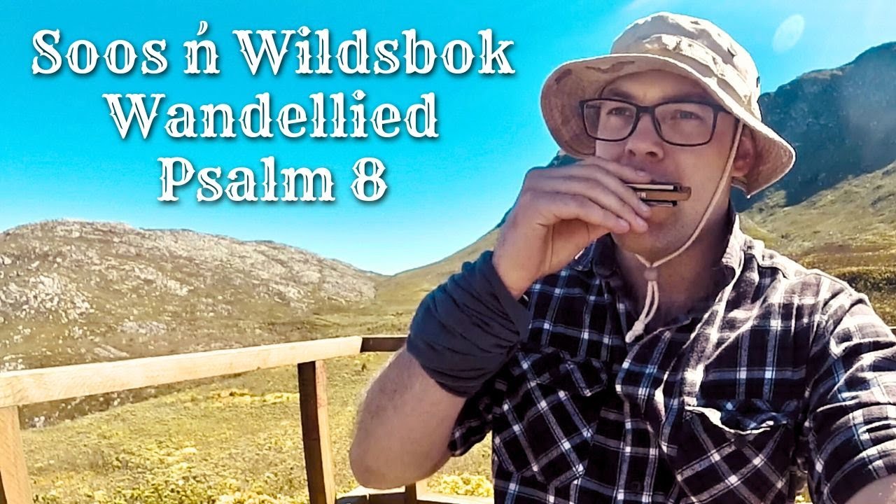 Fluitjie in die veld - YouTube