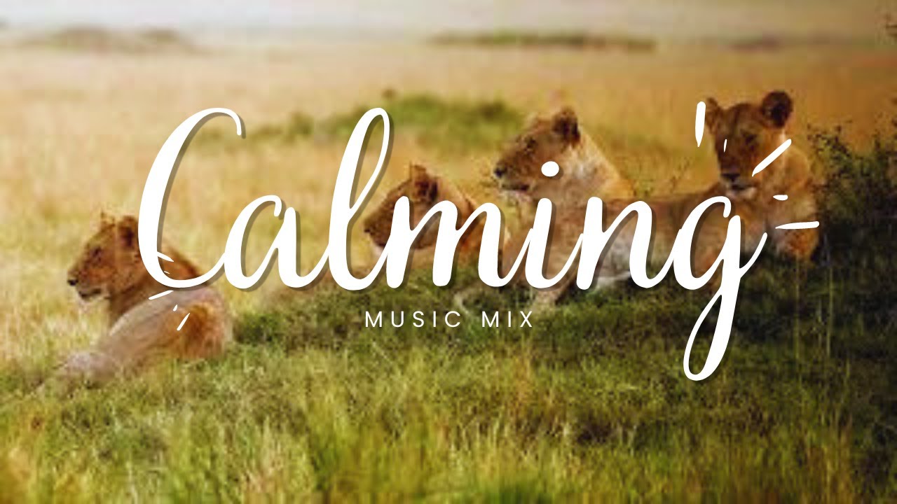 MAMMALS - Natural Beautiful Ambient Sounds & Music, That Will Send ...