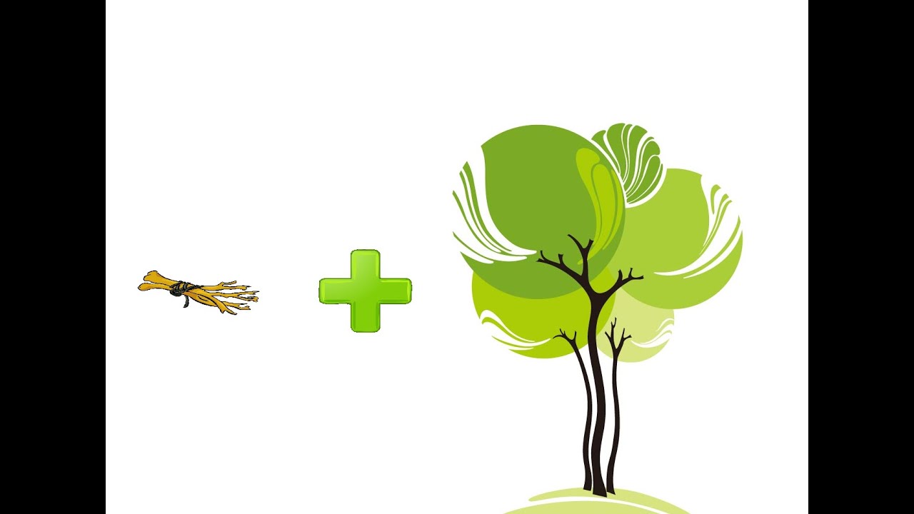 How to make trees with an iron branch in Dota 2 - YouTube