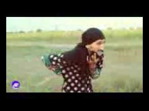 Azəri prikol keçi südü