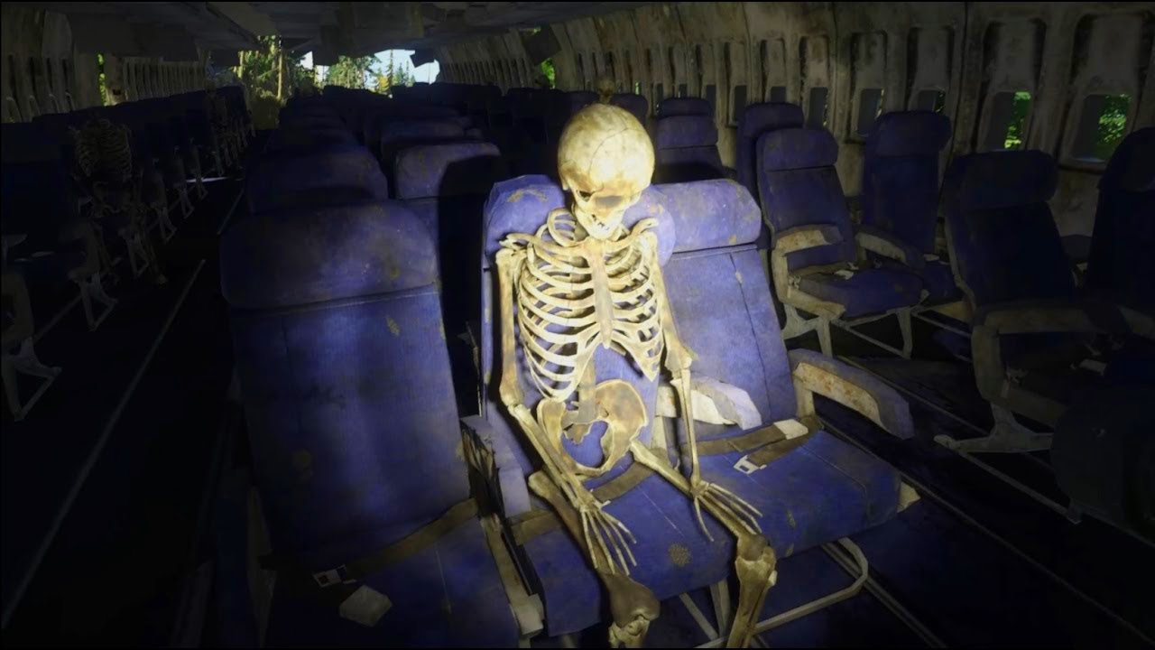 Groundbreaking Discovery: Intact Pilot’s Skeleton Unearthed in Missing ...