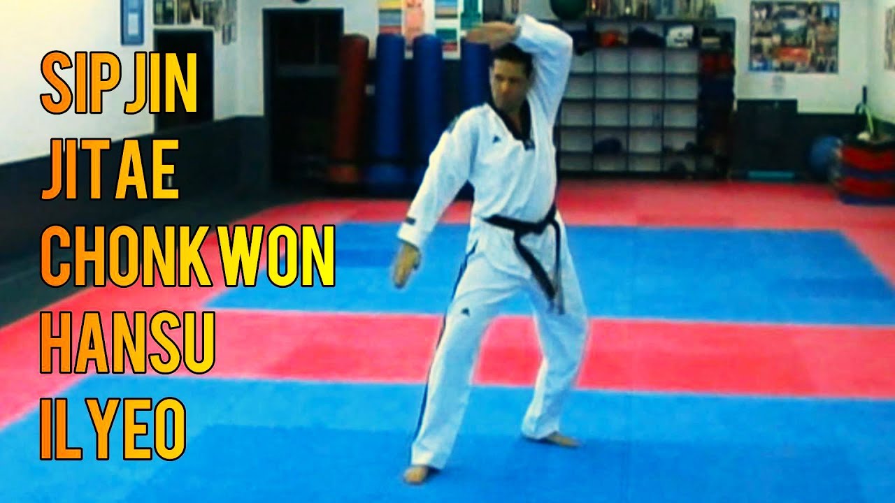 Poomsae SIPJIN JITAE CHONKWON HANSU ILYEO by MASTER ANDRE LIMA (Los ...