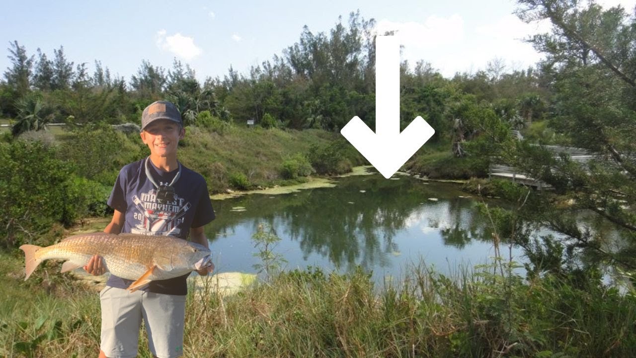 I Finally CAUGHT The POND MONSTER! (My Biggest Fish Ever) - YouTube