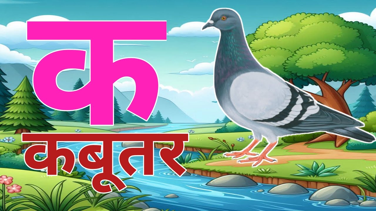 Ka se kabootar cartoon video - YouTube