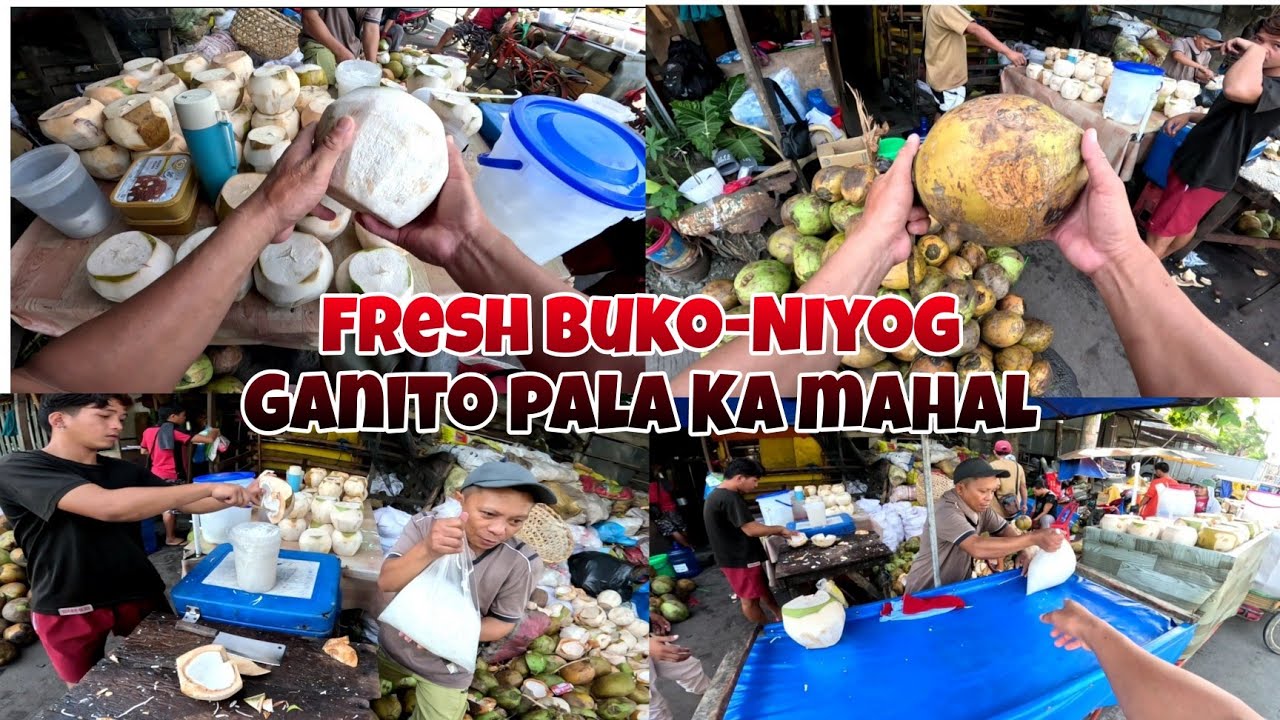 KAYA NAGTANIM TAYO NG NIYOG FARMING GANITO PALA KA MAHAL.COCONUT ...