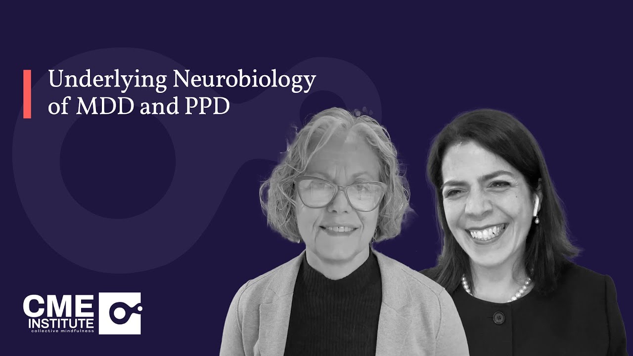 Underlying Neurobiology of MDD and PPD - YouTube