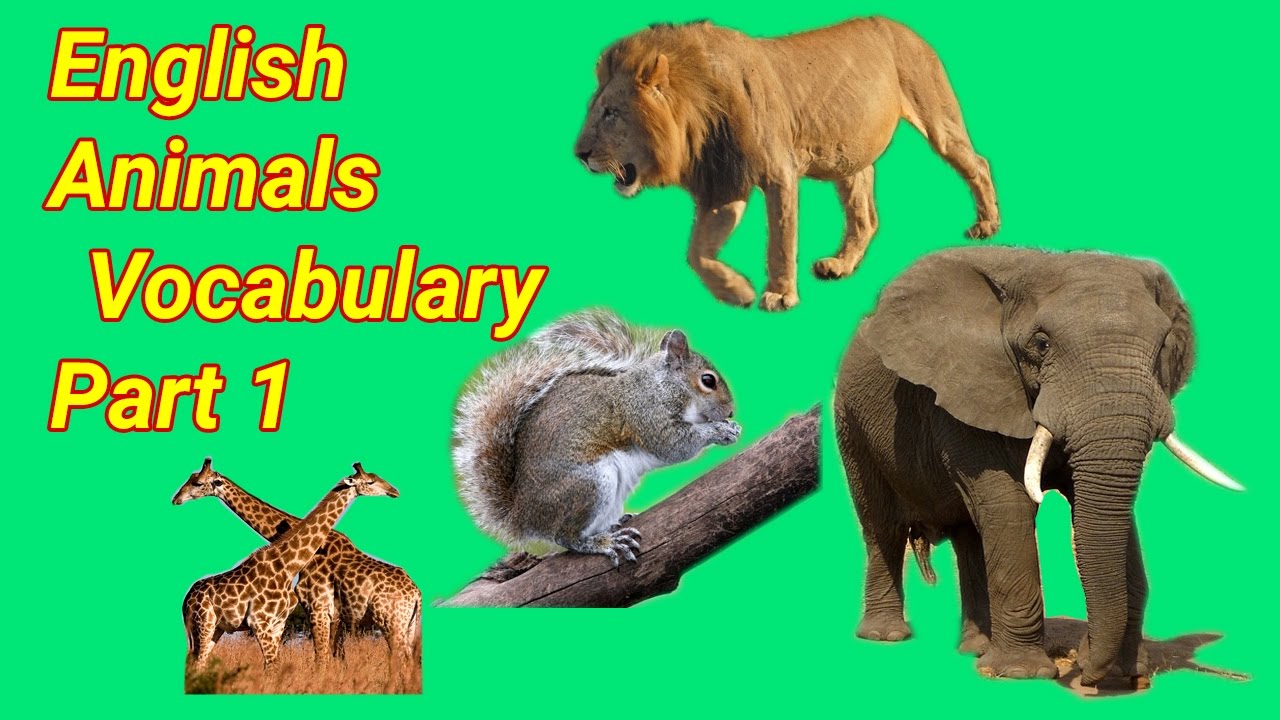ENGLISH ANIMALS VOCABULARY PART 1 | English Vocabulary Channel - YouTube