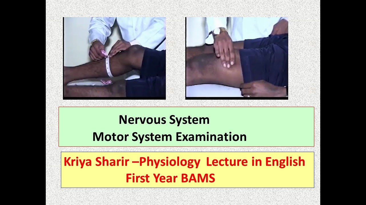Motor System Examination l Clinical Examination l Kriya Sharir l First ...