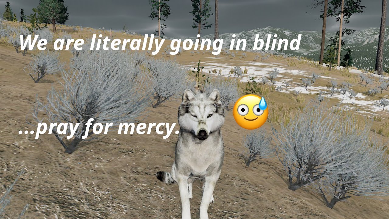 Athena's Age - Blind Wolf Challenge I - Episode 19: Being Blind for ...