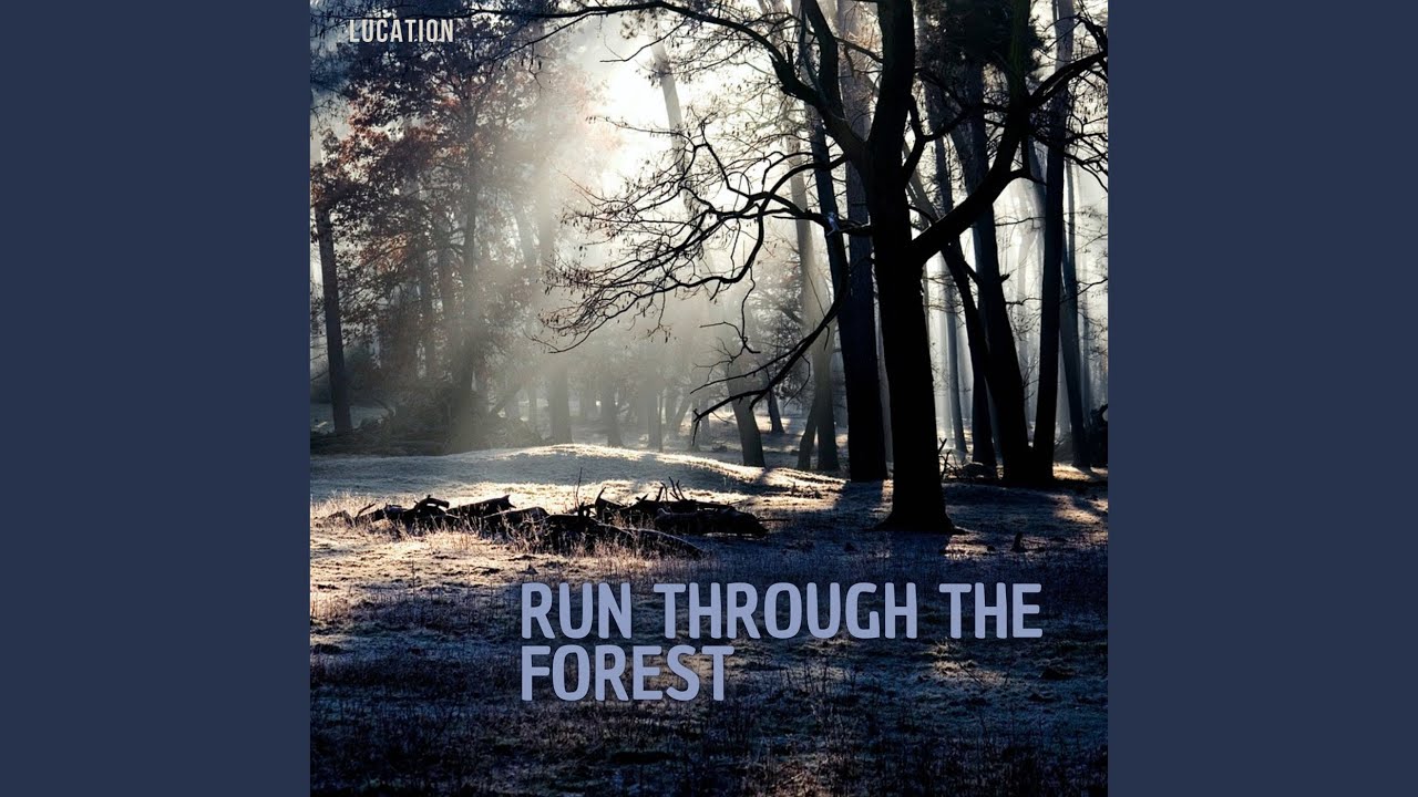 Run Through The Forest - YouTube