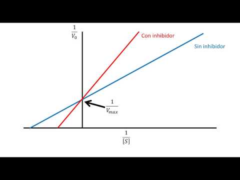 Tipos De Inhibidores • TIPOSDE