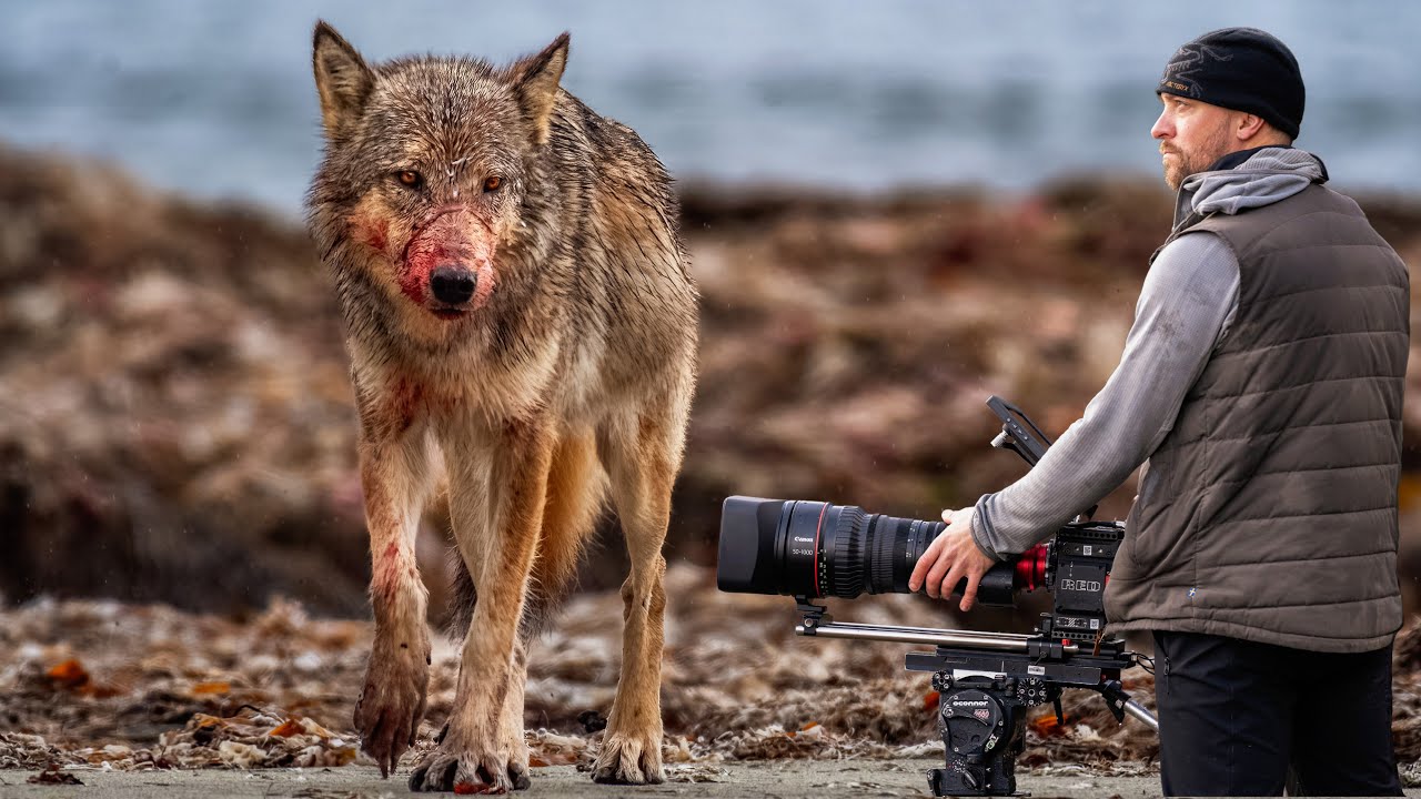 How I Won An EMMY As A Wildlife Cinematographer - YouTube
