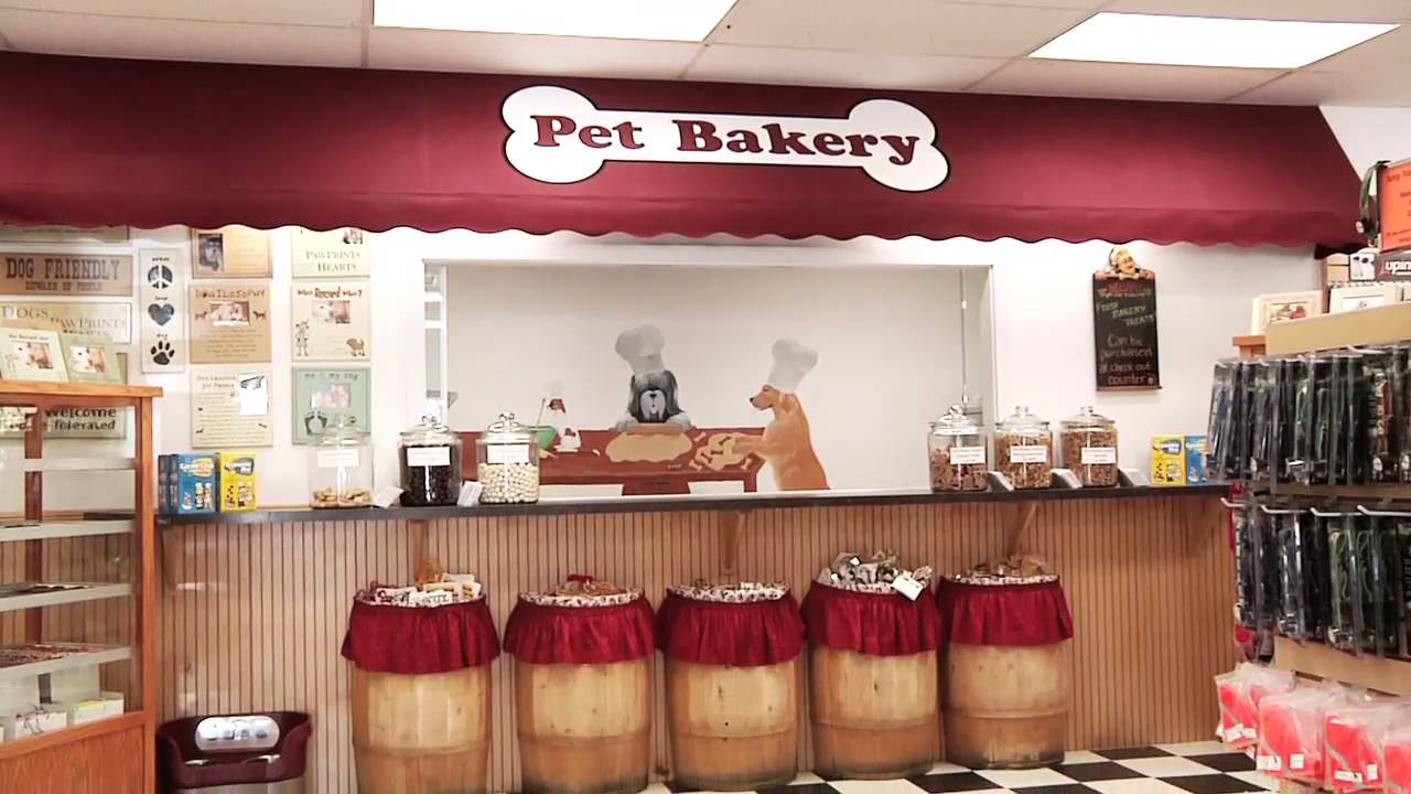 Four Your Paws Only Pet Store - YouTube