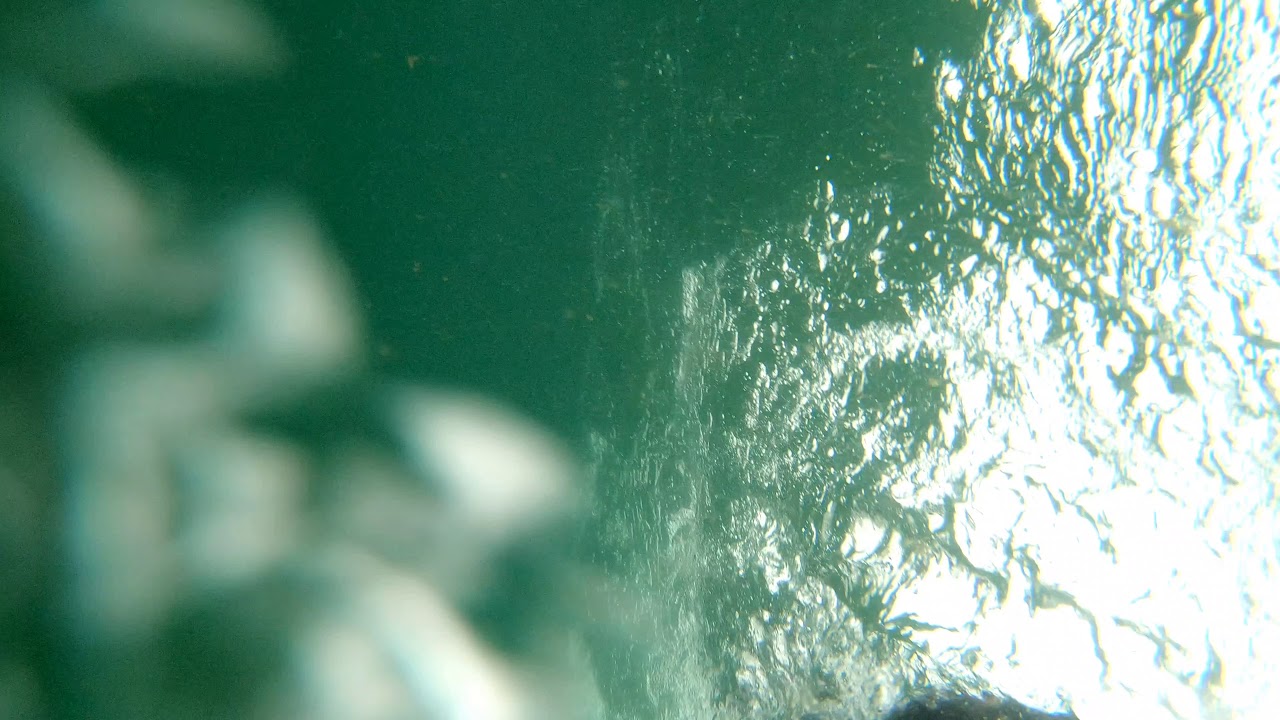 Morning Ocean swim in Durban - YouTube