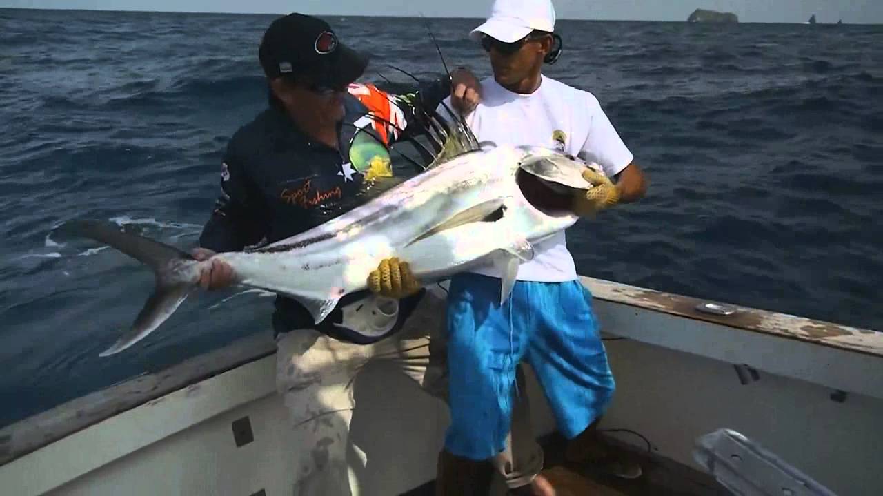 EF Informe Pesca deportiva en Panamá - YouTube