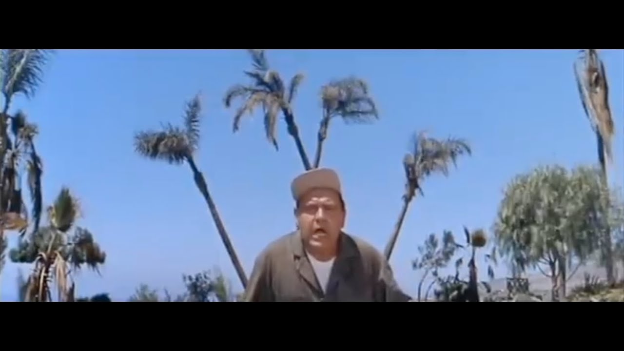 Jonathan Winters - "It's a Mad, Mad, Mad, Mad, World" Palm Tree scene ...