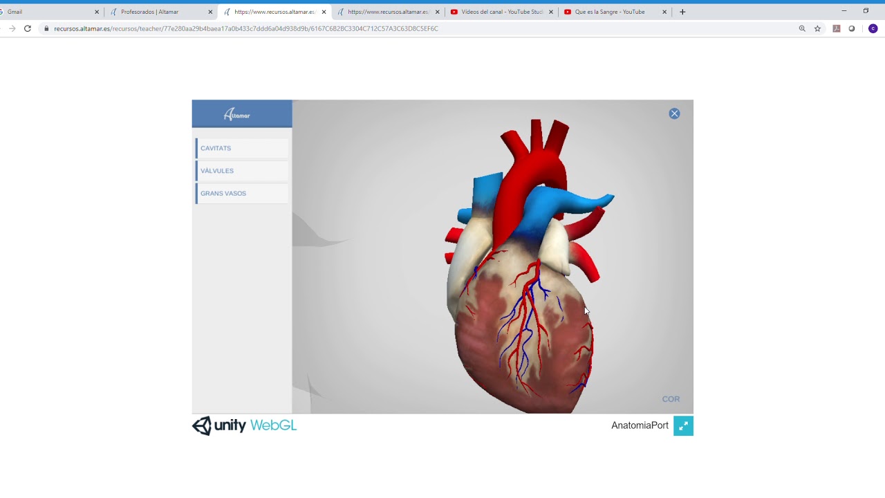 Parts del cor, interactiu - YouTube