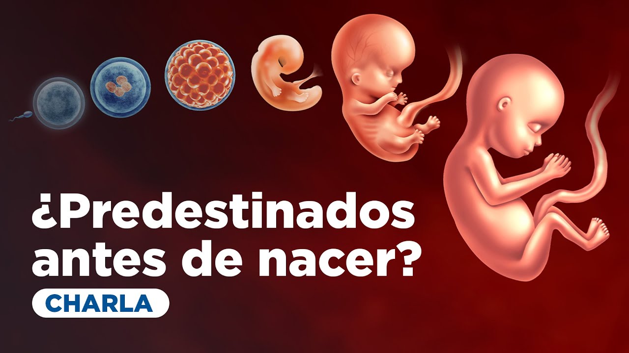 ¿Predestinados antes de nacer? | Marta Fernández Viejo | Embarazo y ...