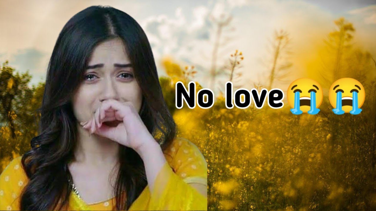 no love no pyar 😭😭😭😭 - YouTube
