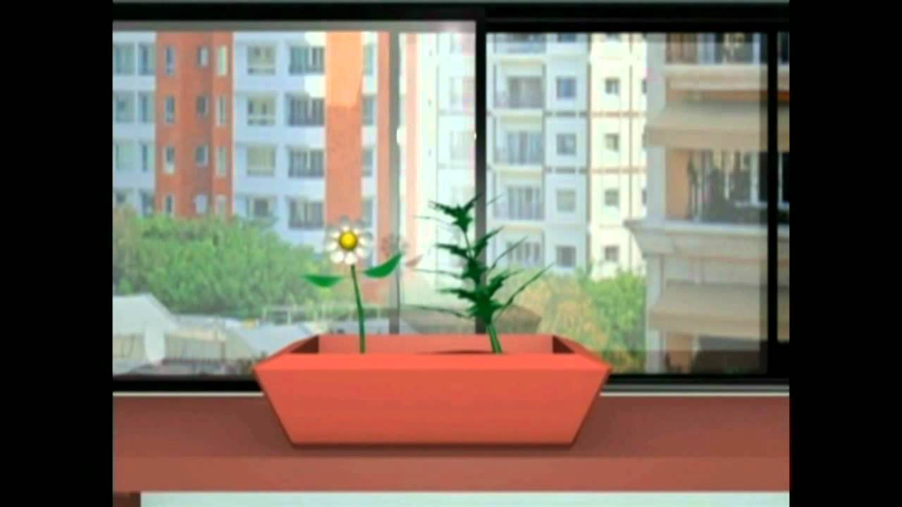 Hermanas Mirabal: Como una flor - YouTube