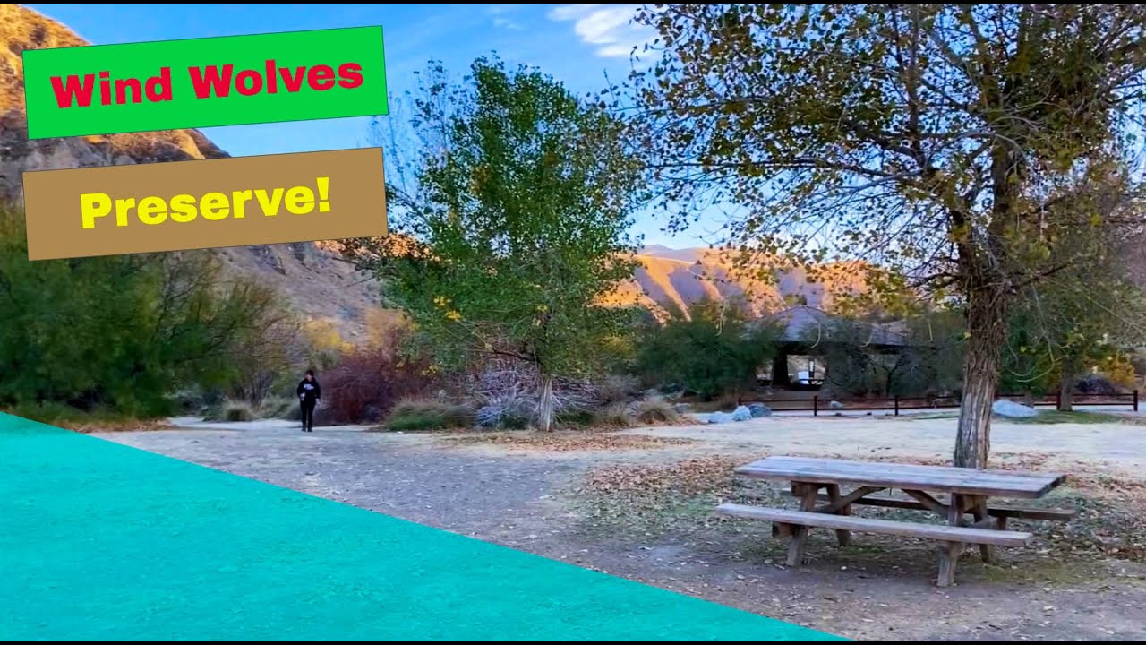 Visiting Wind Wolves Preserve - YouTube