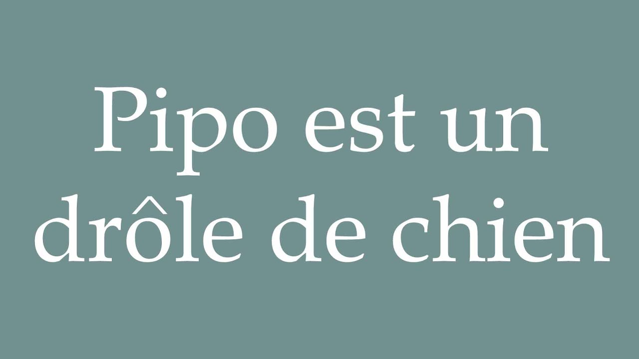 How to Pronounce ''Pipo est un drôle de chien'' (Pipo is a funny dog ...