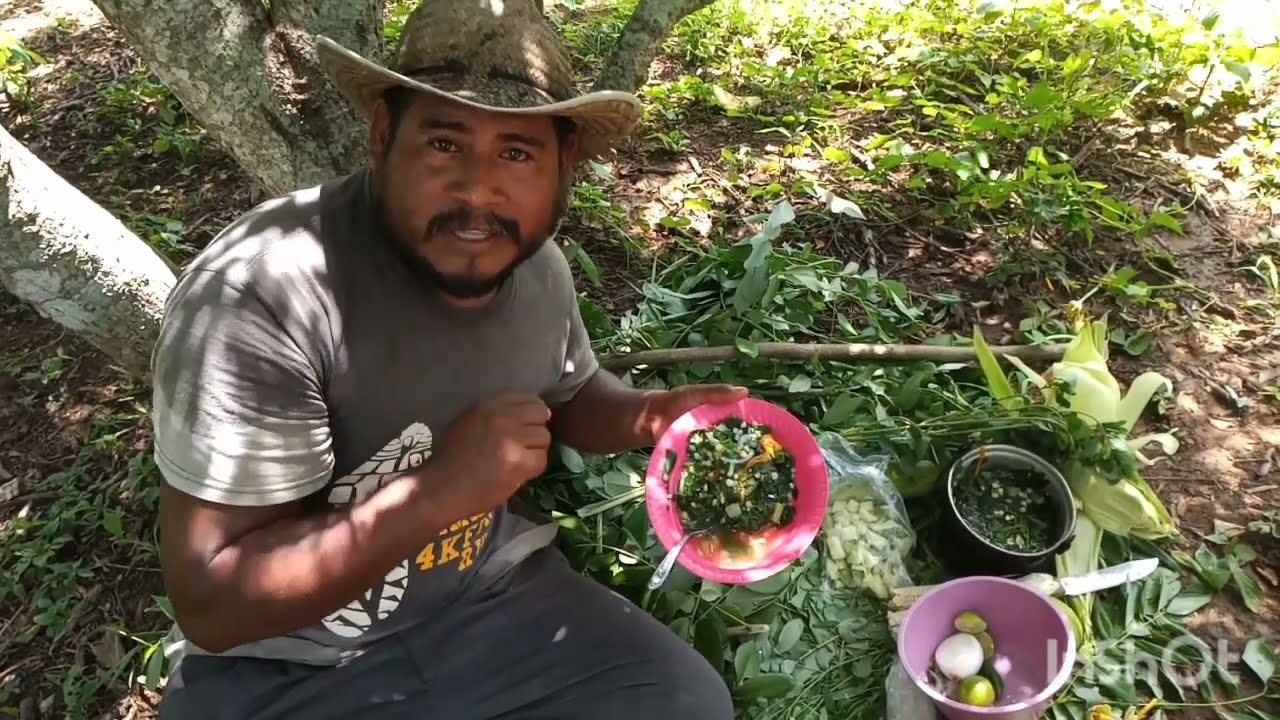 🌽asi preparo rica sopa de chipile en el campo 😋🍲 - YouTube