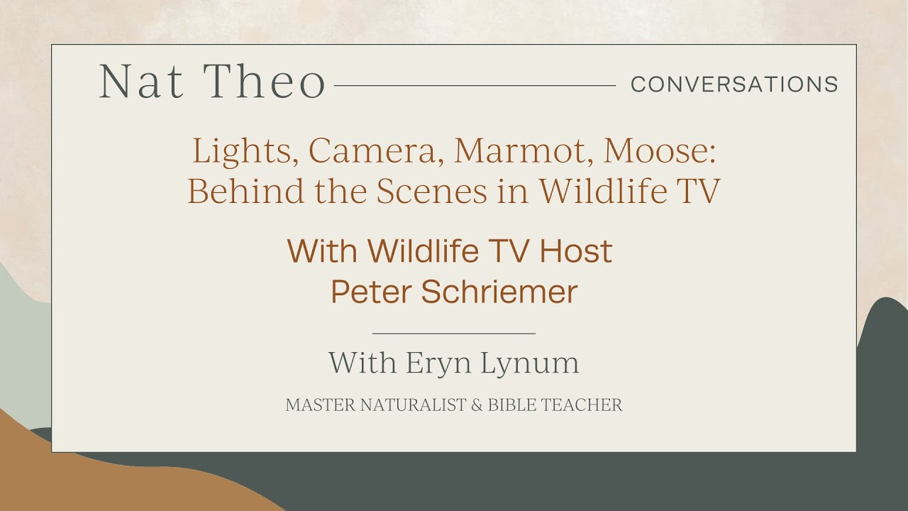 Lights, Camera, Marmot, Moose: Behind the Scenes in Wildlife TV With Peter Schriemer of Hike ...