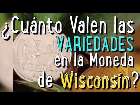 ¿Cuánto Vale las 2 Variedades en la Moneda de Wisconsin? - YouTube
